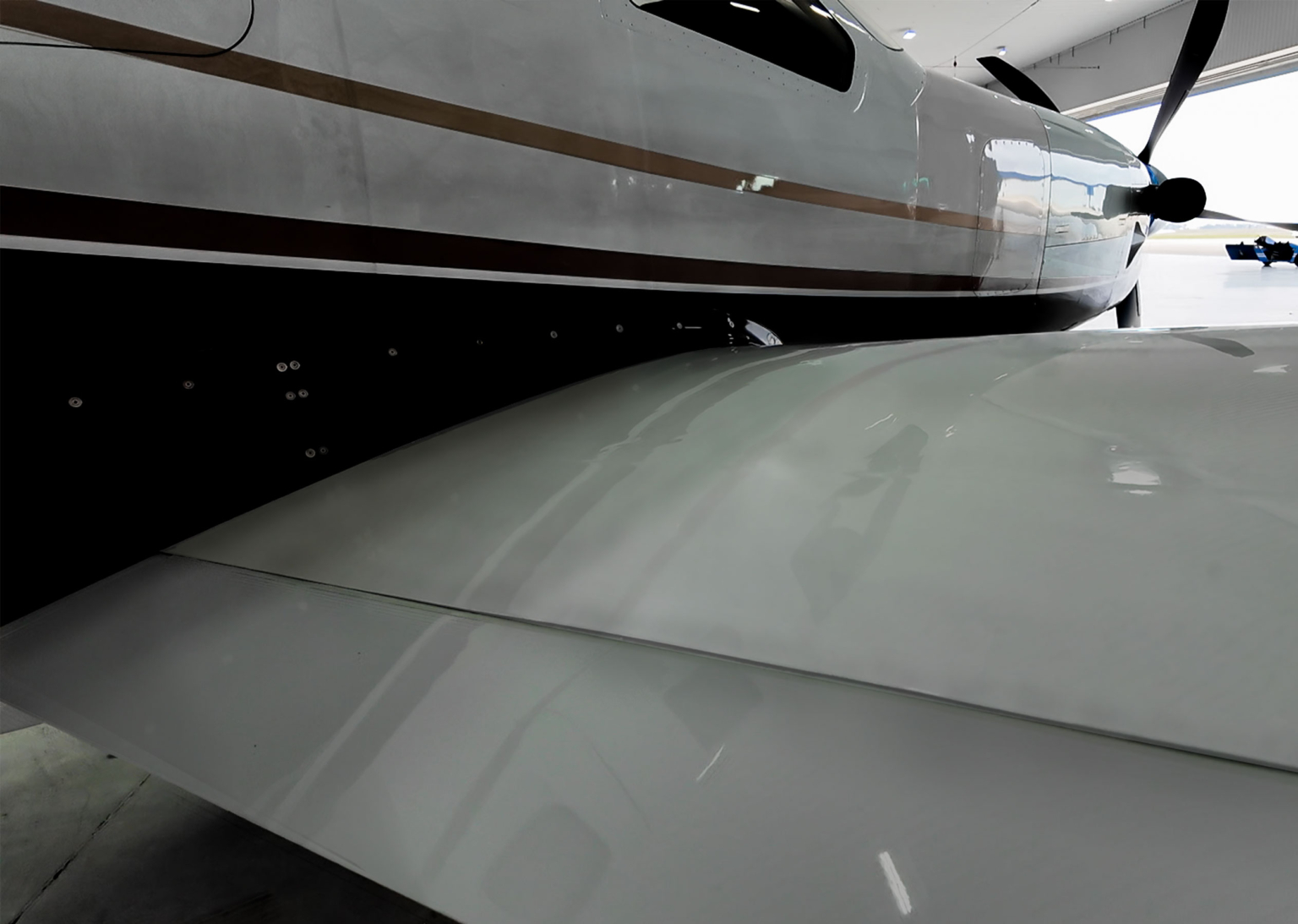 Paint Revitalization - RealClean Aircraft
