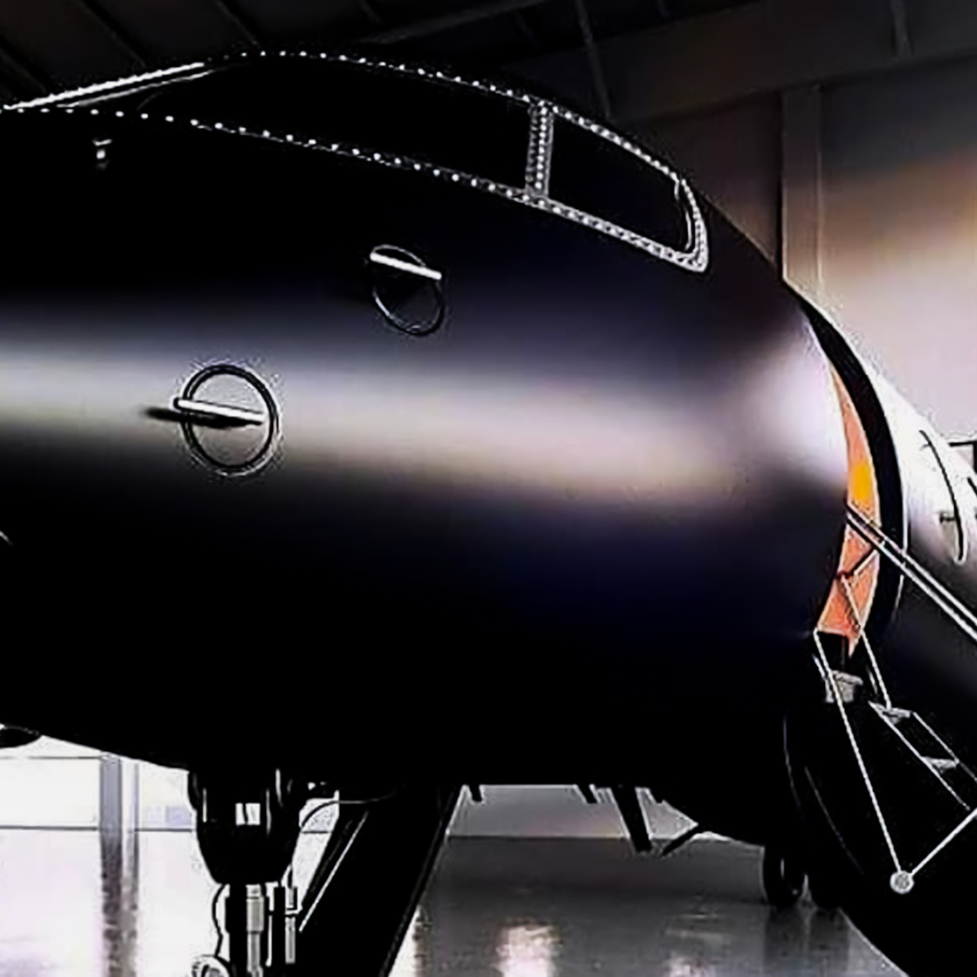 PROTECTIVE COATINGS - RealClean Aircraft Detailing