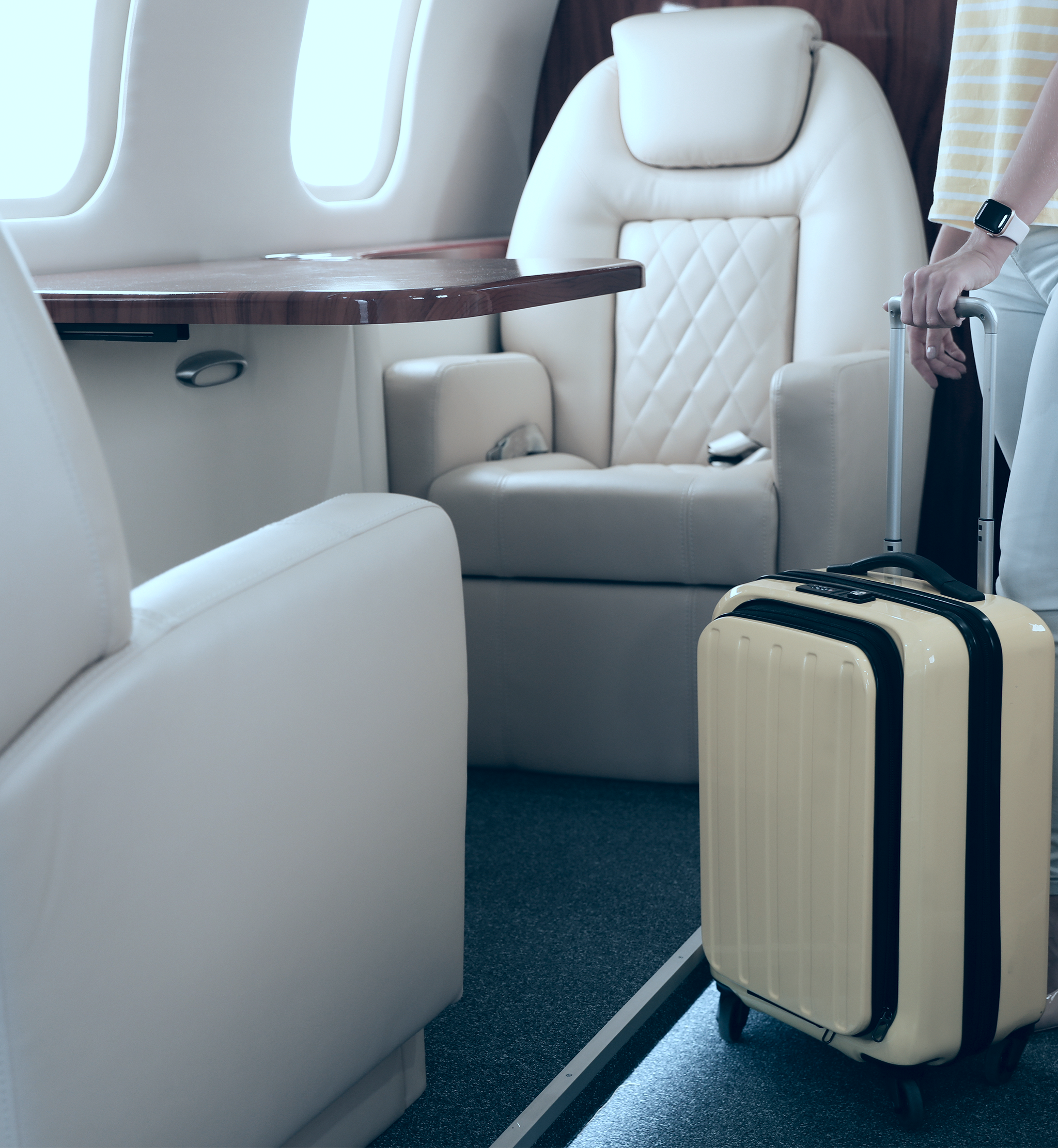 Leather Cleaning & Conditioning - RealClean Aircraft Detailing